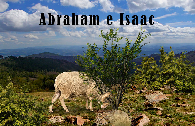 Index of /images/laminas/