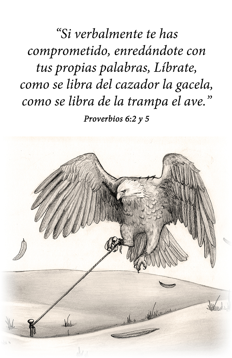 Sabiduría en tus paredes | Palabra de Verdad
